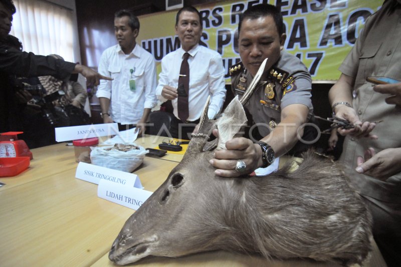 PERDAGANGAN ORGAN SATWA DILINDUNGI | ANTARA Foto