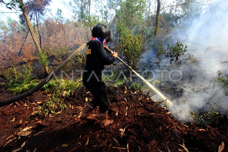 KEBAKARAN LAHAN GAMBUT | ANTARA Foto