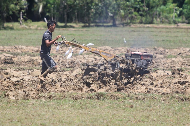 SAWAH TADAH HUJAN MULAI DIKERJAKAN | ANTARA Foto SAWAH TADAH HUJAN MULAI DIKERJAKAN | ANTARA Foto