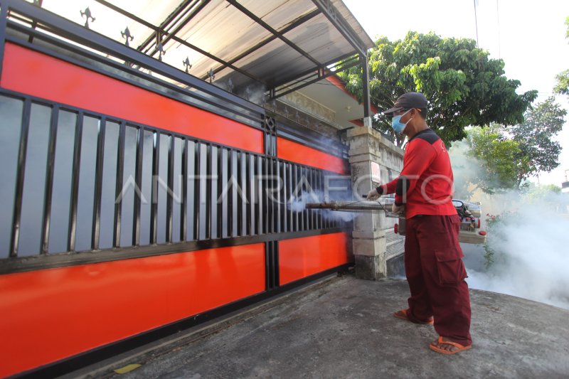 BERANTAS SARANG NYAMUK AEDES AEGYPTI | ANTARA Foto BERANTAS SARANG NYAMUK AEDES AEGYPTI | ANTARA Foto