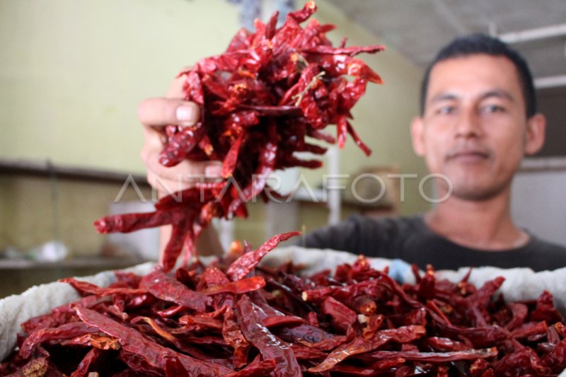 HARGA CABAI MERAH KERING NAIK DRASTIS | ANTARA Foto HARGA CABAI MERAH KERING NAIK DRASTIS | ANTARA Foto