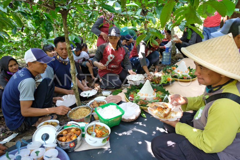 TRADISI WIWIT KOPI | ANTARA Foto