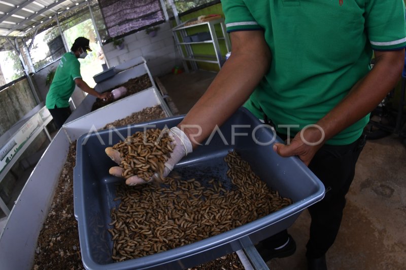 OJK DUKUNG PENGEMBANGAN BADAN WAKAF MIKRO | ANTARA Foto OJK DUKUNG PENGEMBANGAN BADAN WAKAF MIKRO | ANTARA Foto