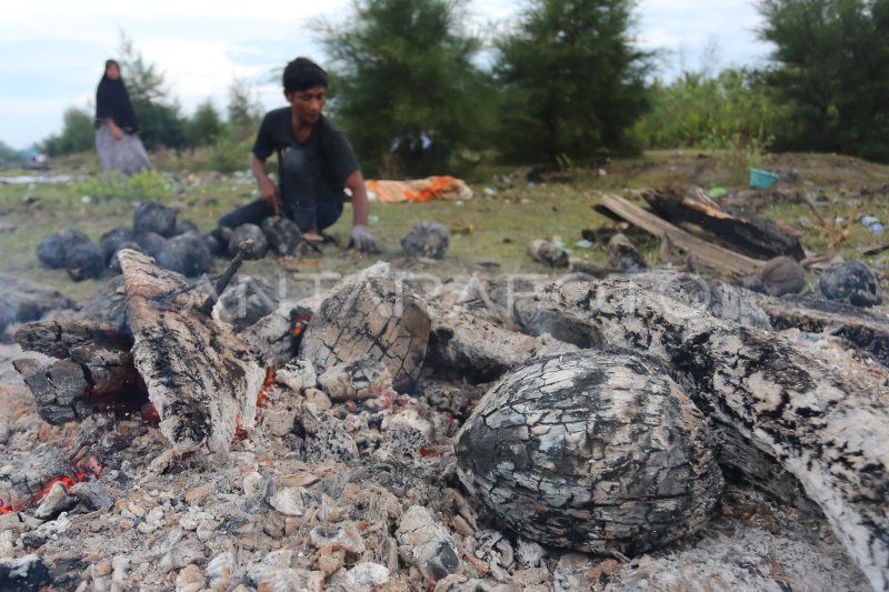 KELAPA MUDA BAKAR KHAS RAMADHAN | ANTARA Foto KELAPA MUDA BAKAR KHAS RAMADHAN | ANTARA Foto