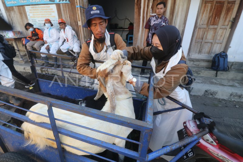 PERKETAT PENGAWASAN PENJUALAN HEWAN | ANTARA Foto PERKETAT PENGAWASAN PENJUALAN HEWAN | ANTARA Foto