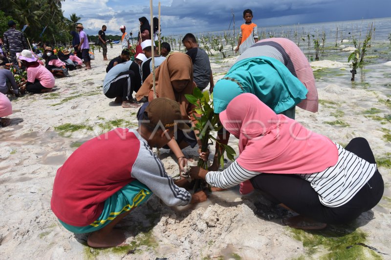 PENANAMAN MANGROVE PERINGATI HARI NUSANTARA | ANTARA Foto PENANAMAN MANGROVE PERINGATI HARI NUSANTARA | ANTARA Foto