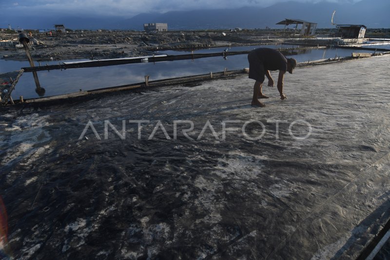 Pemasangan Geomembran Untuk Produksi Garam Antara Foto