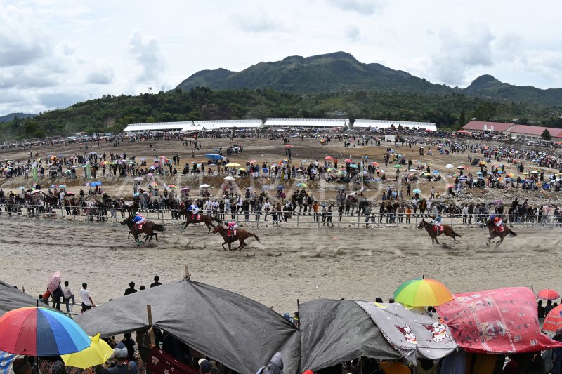 Membawa tradisi "pacu kude" Tanah Gayo di PON XXI Aceh-Sumut 2024 | ANTARA Foto