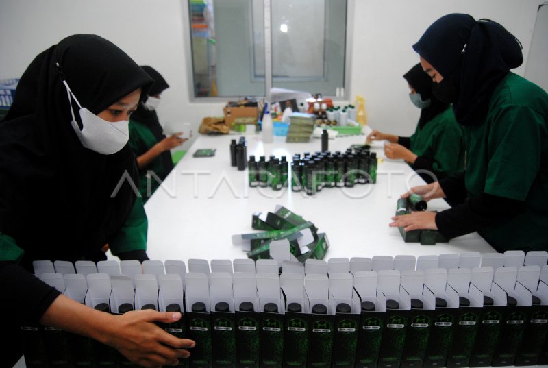 PRODUKSI MADU HERBAL DAN LEBAH TRIGONA SAAT RAMADHAN | ANTARA Foto PRODUKSI MADU HERBAL DAN LEBAH TRIGONA SAAT RAMADHAN | ANTARA Foto