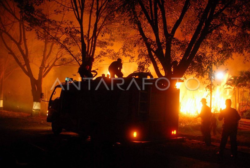 Kebakaran Lahan Tebu Antara Foto