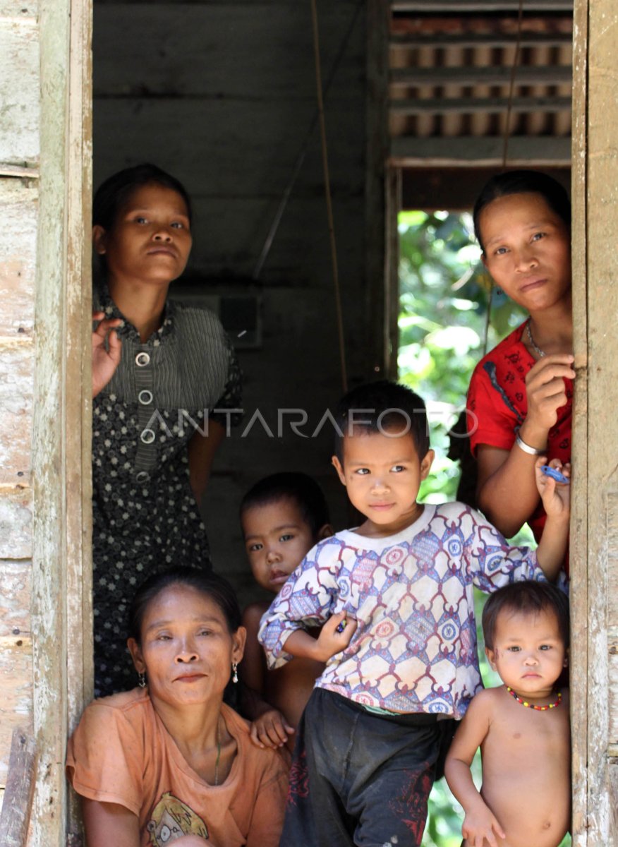 SUKU TALANG MAMAK | ANTARA Foto